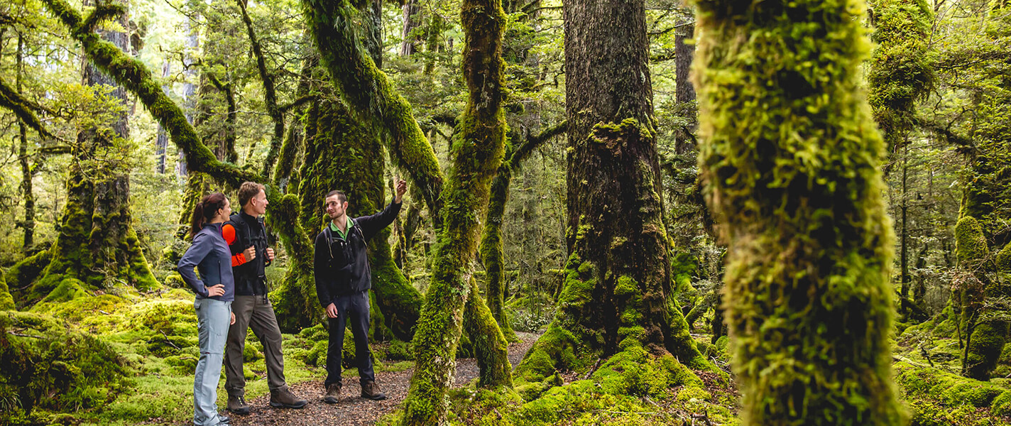 New Zealand Rental Car Hire | Avis New Zealand Car Rental